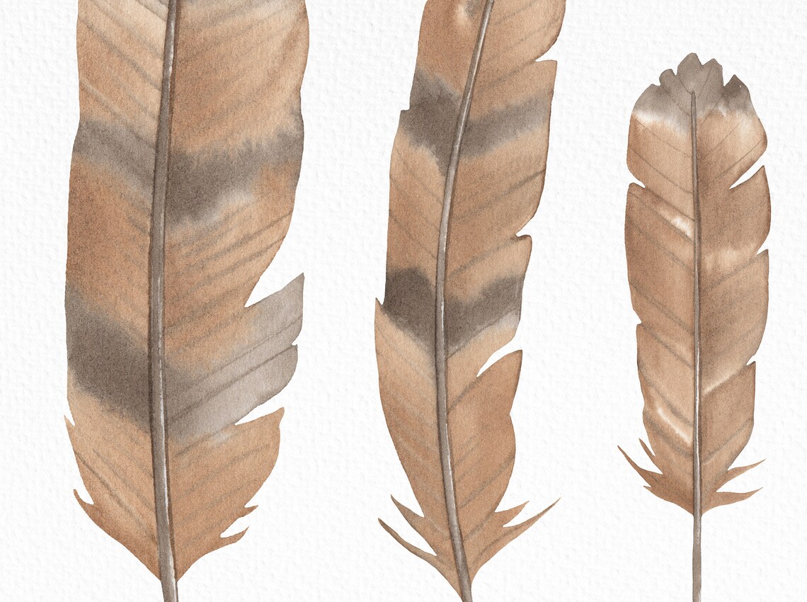 Watercolor Brown Feathers Clipart, Hand Painted Boho Feathers PNG - Etsy