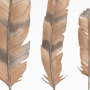 Watercolor Brown Feathers Clipart, Hand Painted Boho Feathers PNG - Etsy