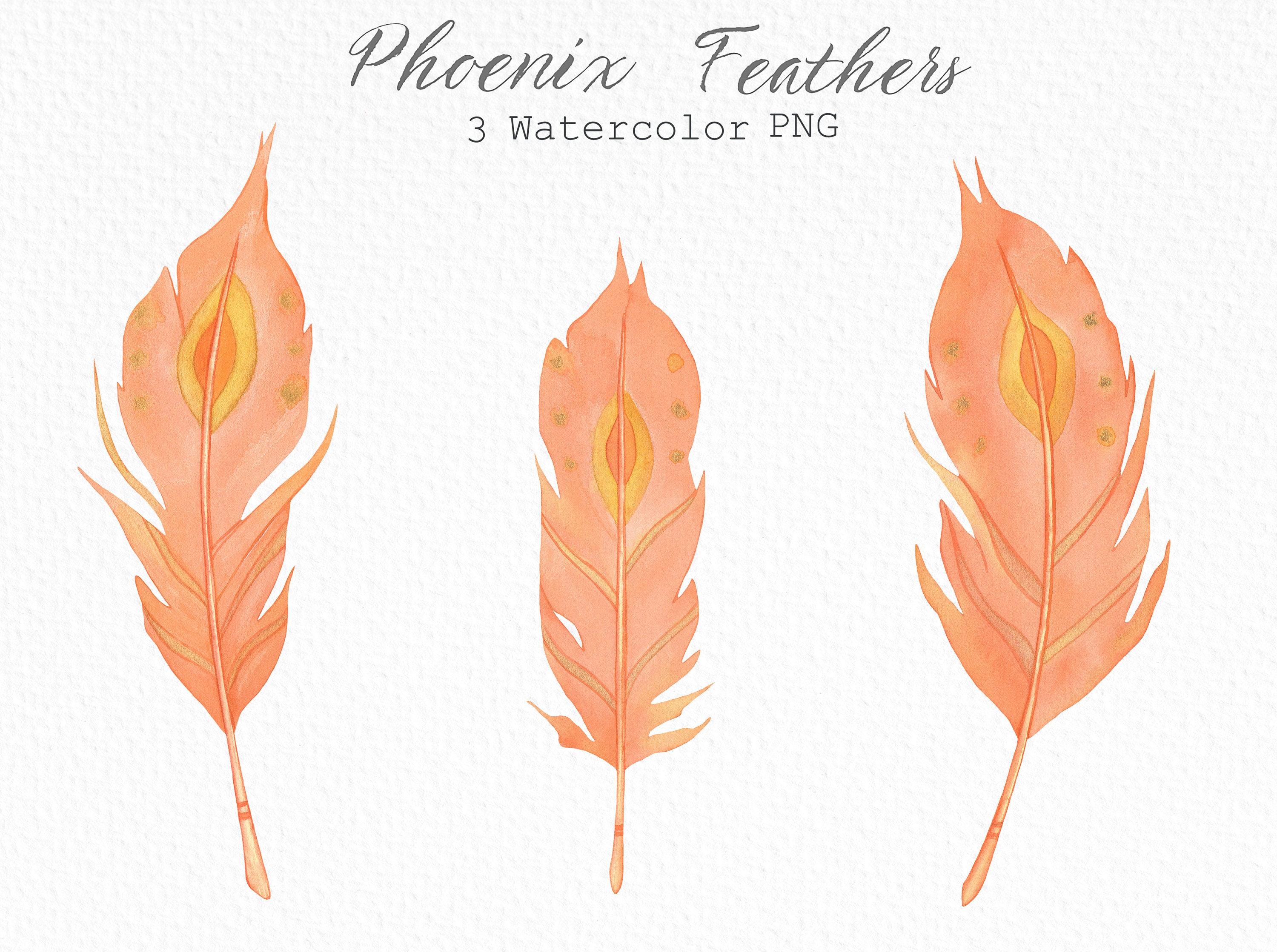 Watercolor Phoenix Feathers Clipart, Decorative Orange Feathers PNG - Etsy