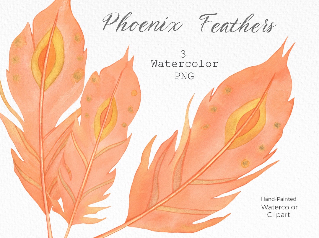 Watercolor Phoenix Feathers Clipart, Decorative Orange Feathers PNG - Etsy