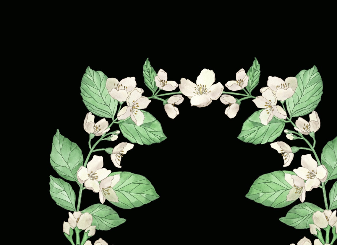 Watercolor Jasmine Flowers Frames Clipart Hand Painted - Etsy