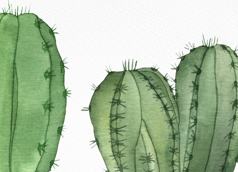 Watercolor Indoor Plants Clipart Boho House Potted Cactus - Etsy