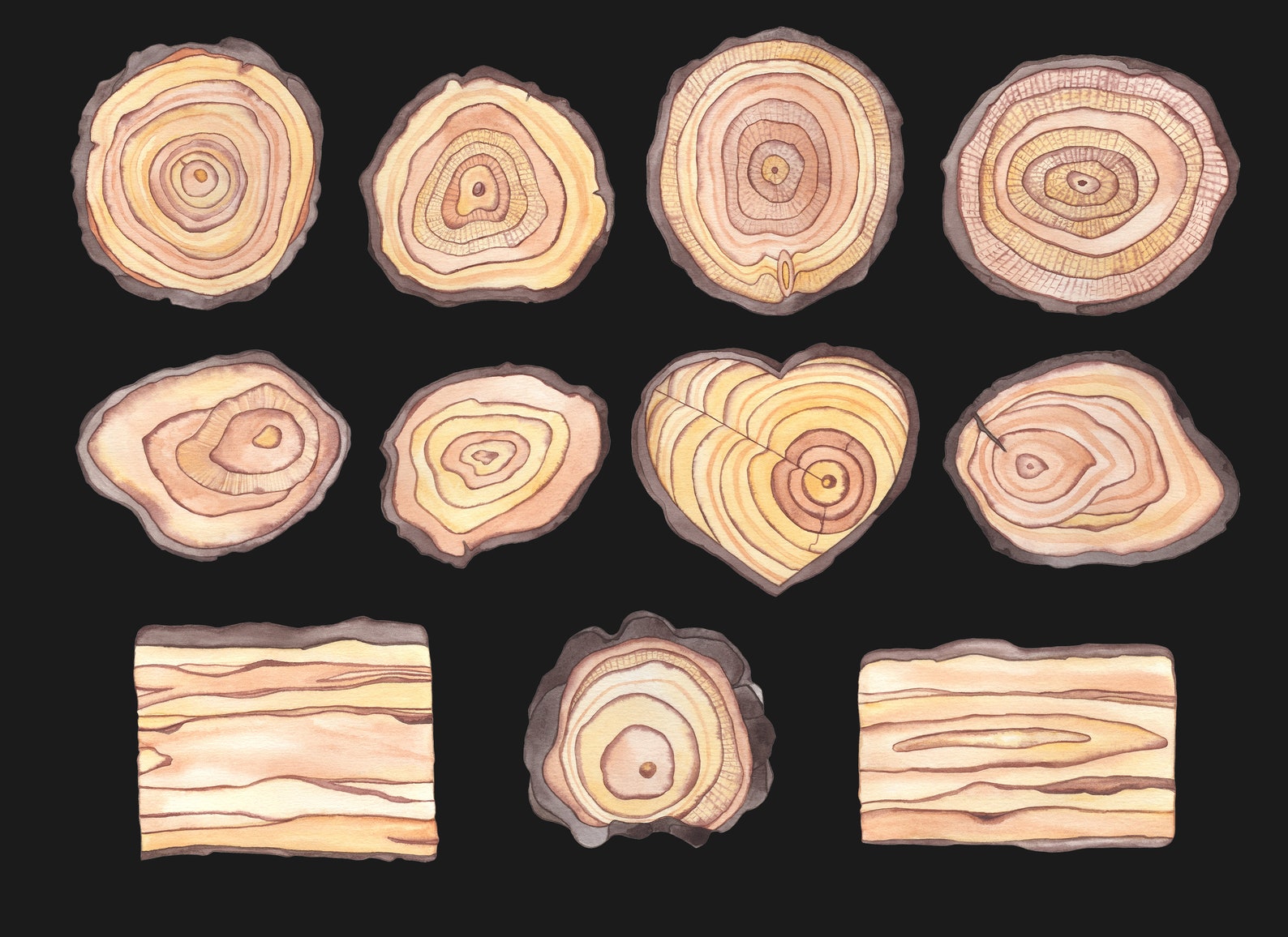 Watercolor Wood Slice Clipart, Rustic Sign Slices Clipart, Scrapbooking ...