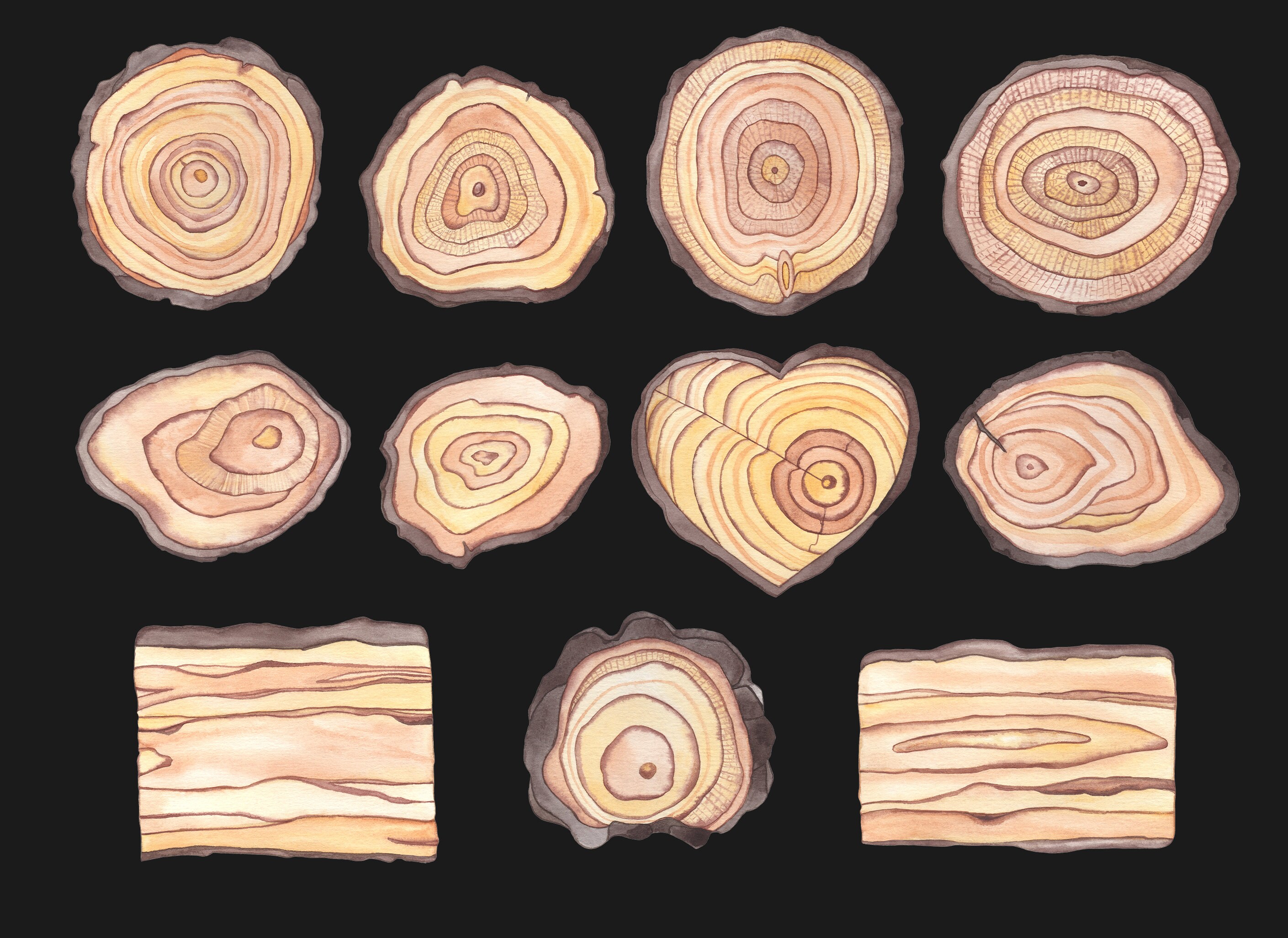 Watercolor Wood Slice Clipart, Rustic Sign Slices Clipart, Scrapbooking ...