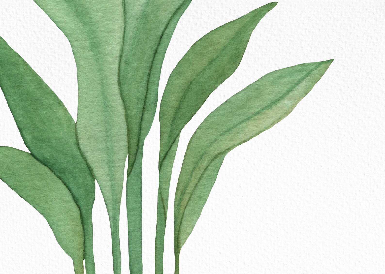 Boho House Plants Clipart Watercolor Greenery Indoor Potted - Etsy