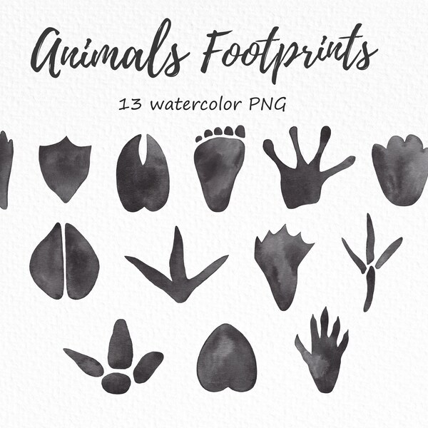 Woodland Tracks Clipart - Etsy