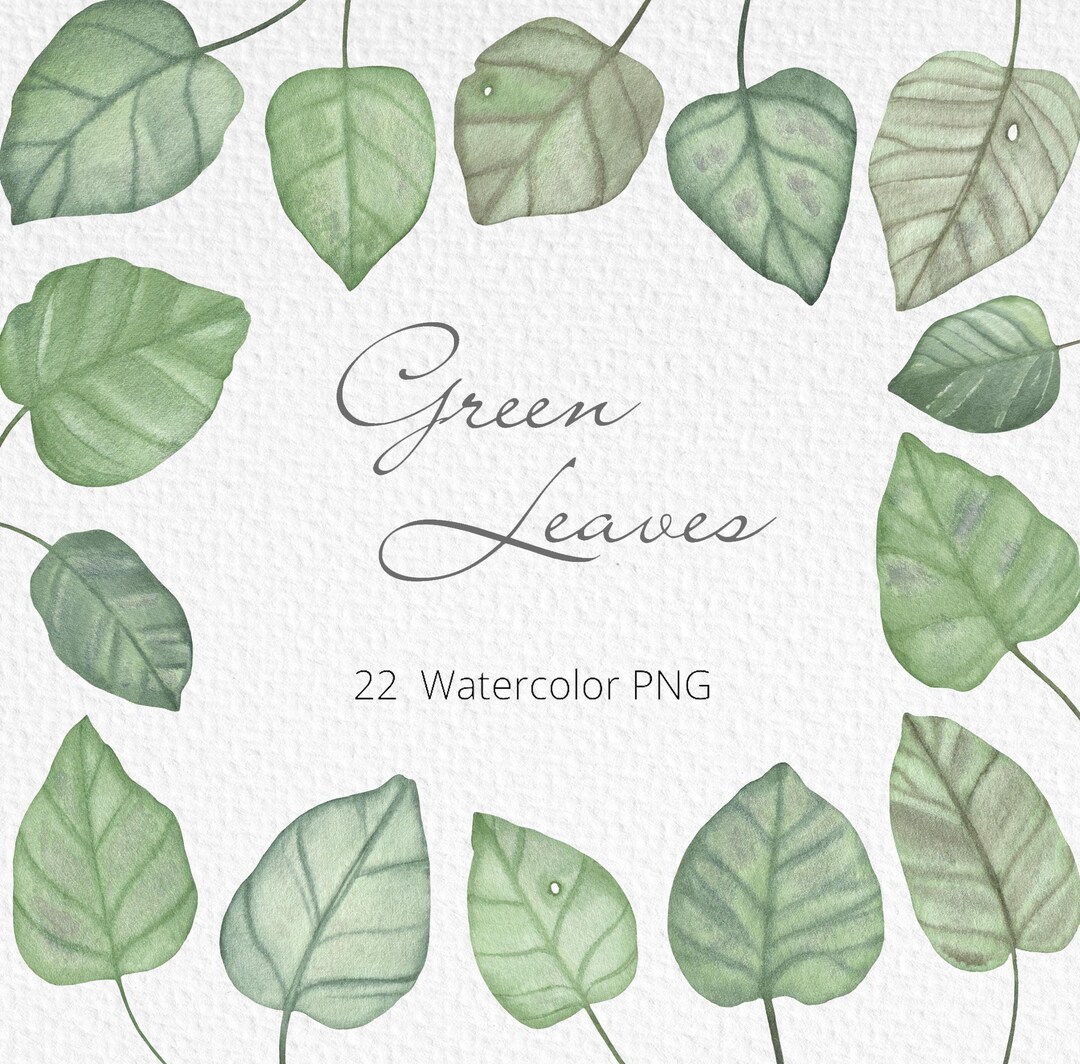 Watercolor Green Leaves Clipart, Greenery Clipart, Green Leaves Clipart ...