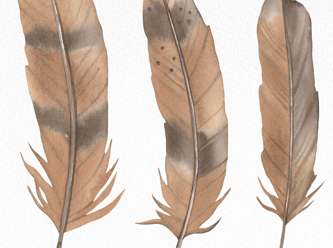 Watercolor Brown Feathers Clipart, Hand Painted Boho Feathers PNG - Etsy