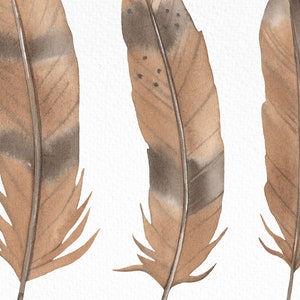 Watercolor Brown Feathers Clipart, Hand Painted Boho Feathers PNG - Etsy