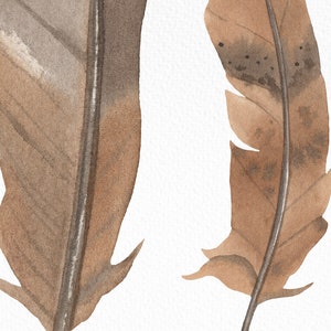 Watercolor Brown Feathers Clipart, Hand Painted Boho Feathers PNG - Etsy