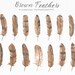 Watercolor Brown Feathers Clipart, Hand Painted Boho Feathers PNG - Etsy