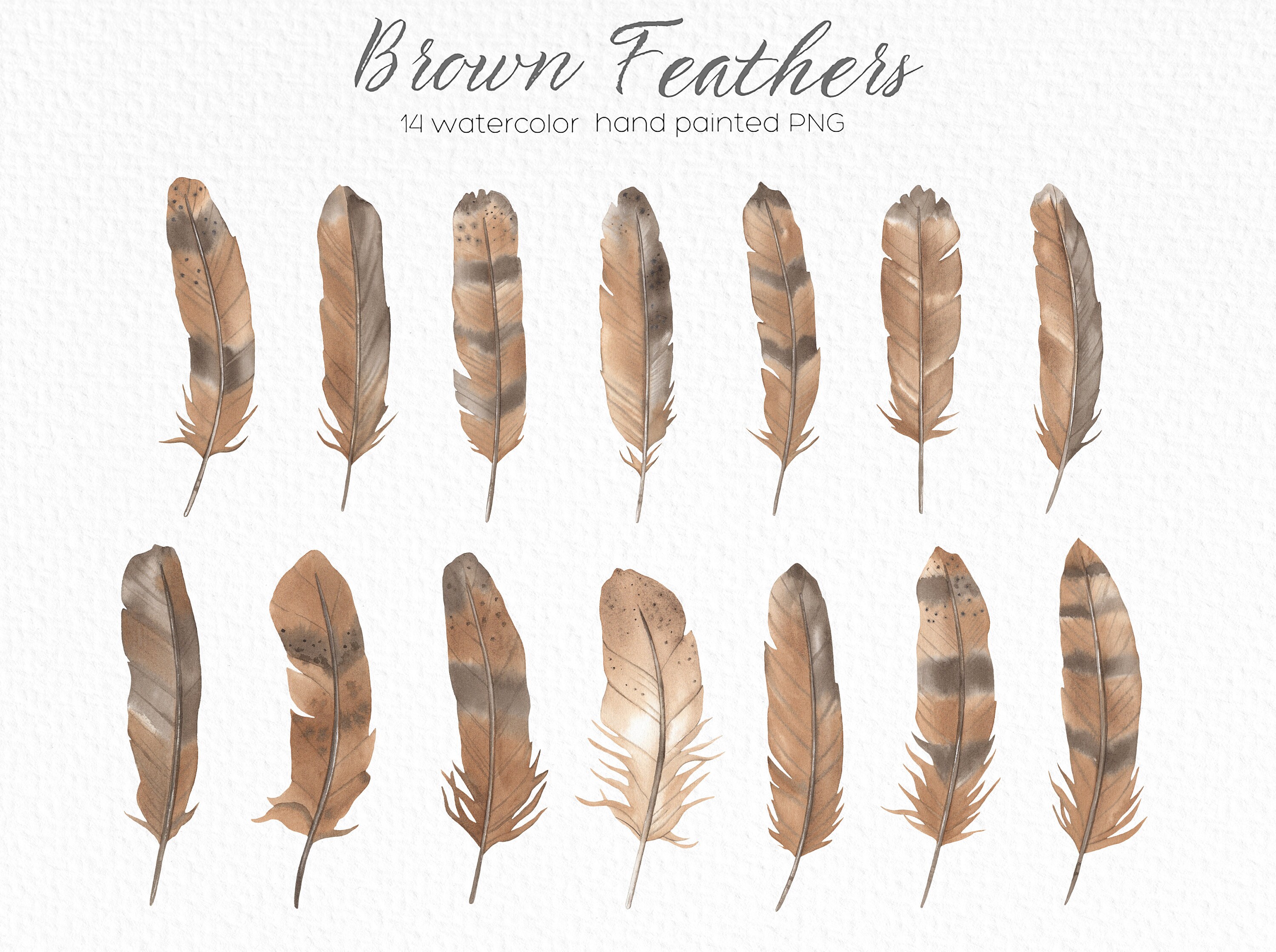 Watercolor Brown Feathers Clipart, Hand Painted Boho Feathers PNG - Etsy