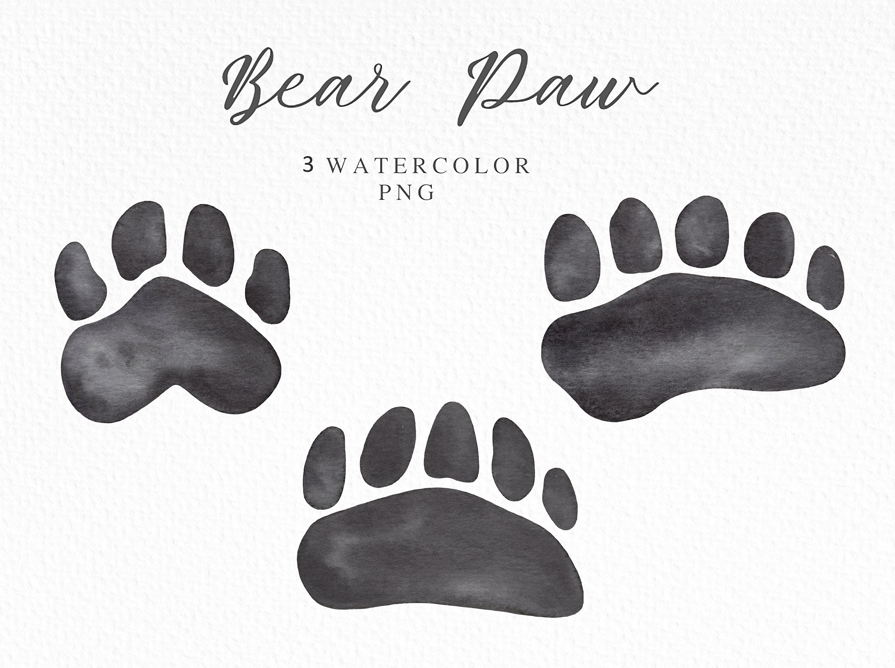 Black Bear Paw Silhouette
