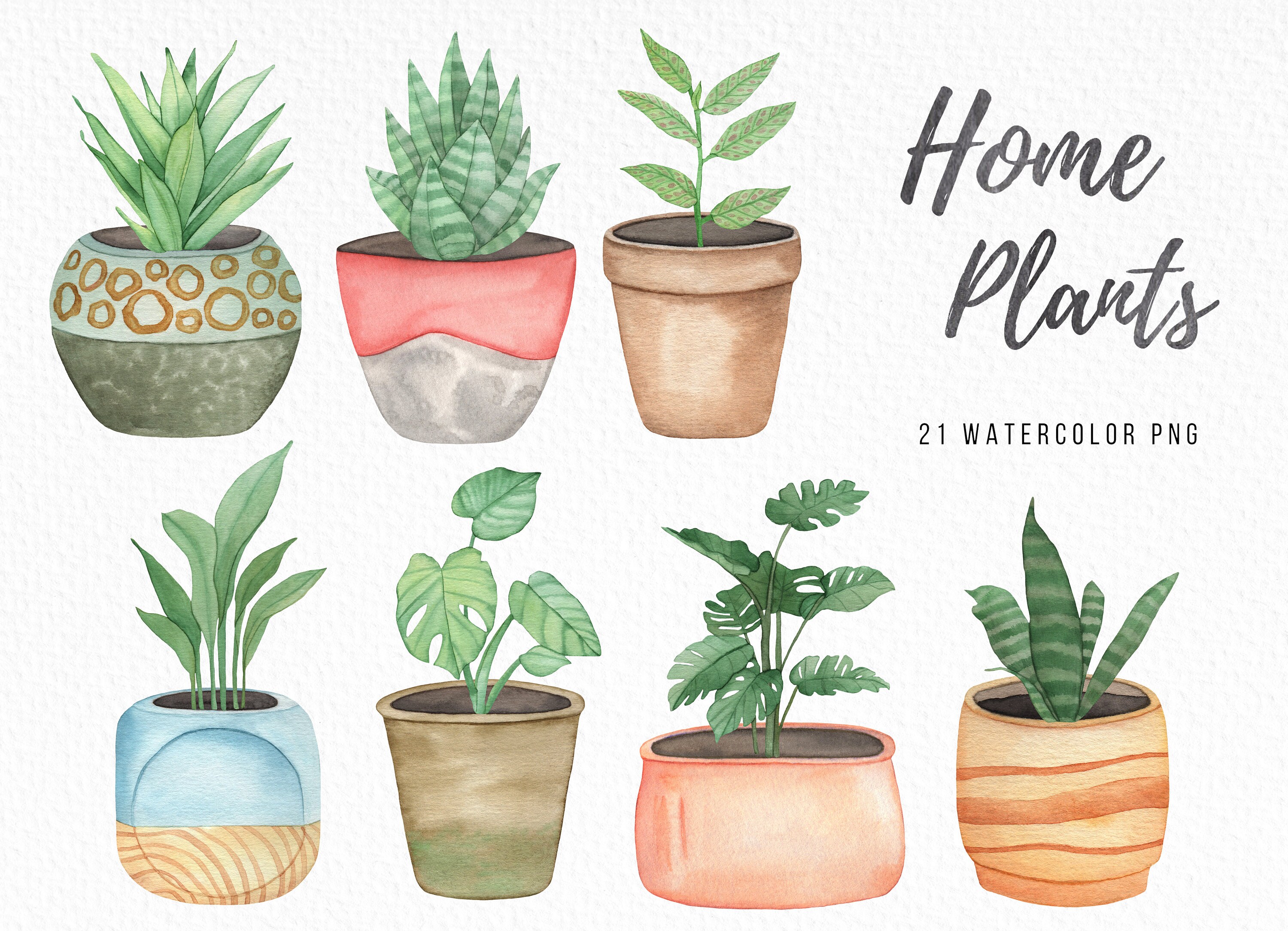 Boho House Plants Clipart, Watercolor Greenery, Indoor Potted Plants - Etsy