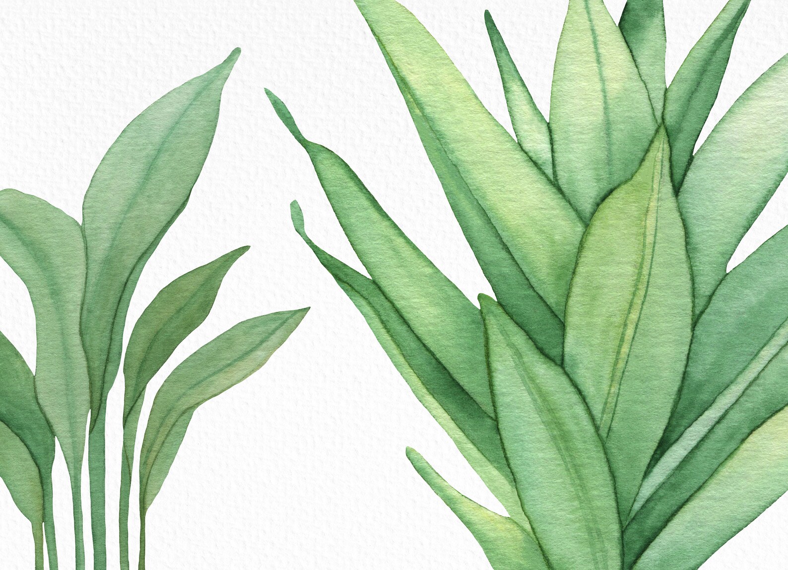 Boho House Plants Clipart, Watercolor Greenery, Indoor Potted Plants - Etsy