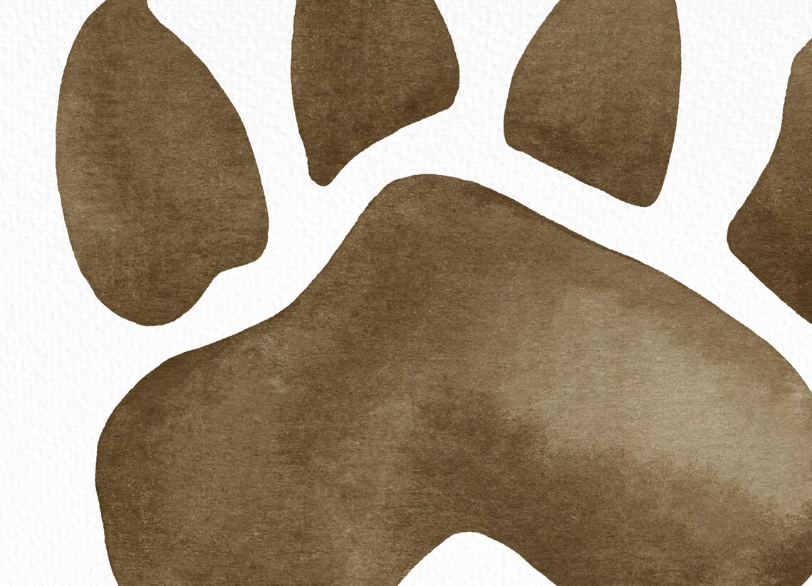 Watercolor Paw Prints Clipart Dog Bear Paw Prints PNG - Etsy