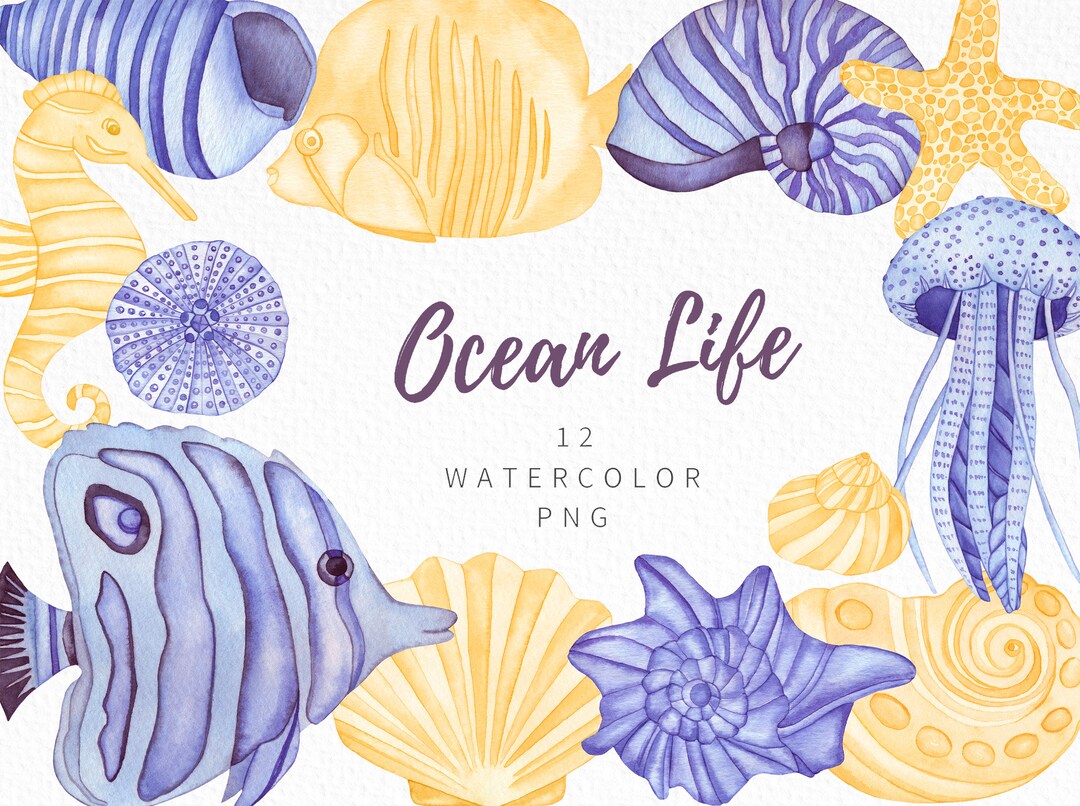 Watercolor Ocean Life Clipart Sea Shells Sea Horse Jelly - Etsy