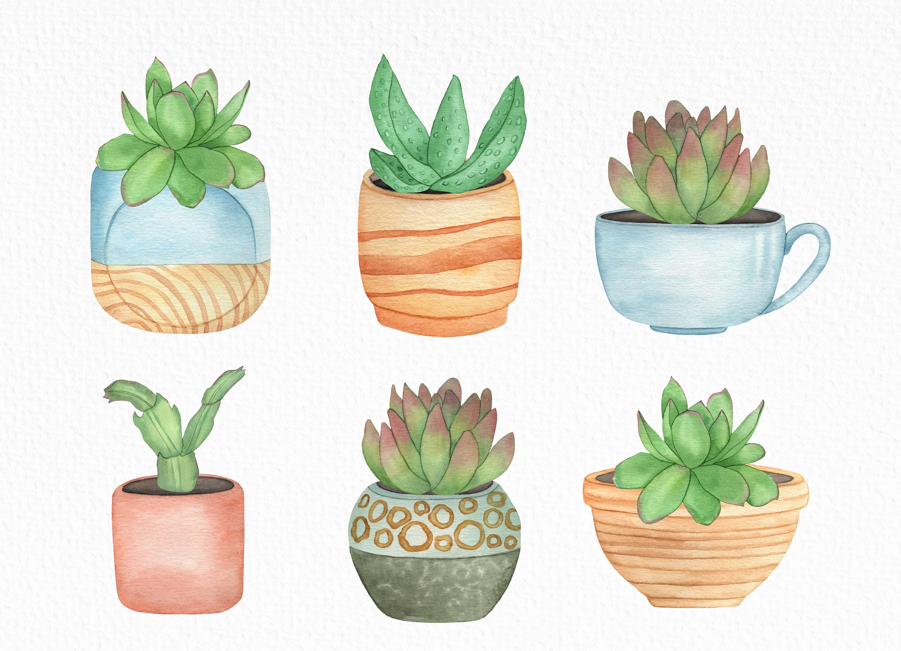 Watercolor Succulents in Pots Clipart, Indoor Potted House Plants - Etsy UK