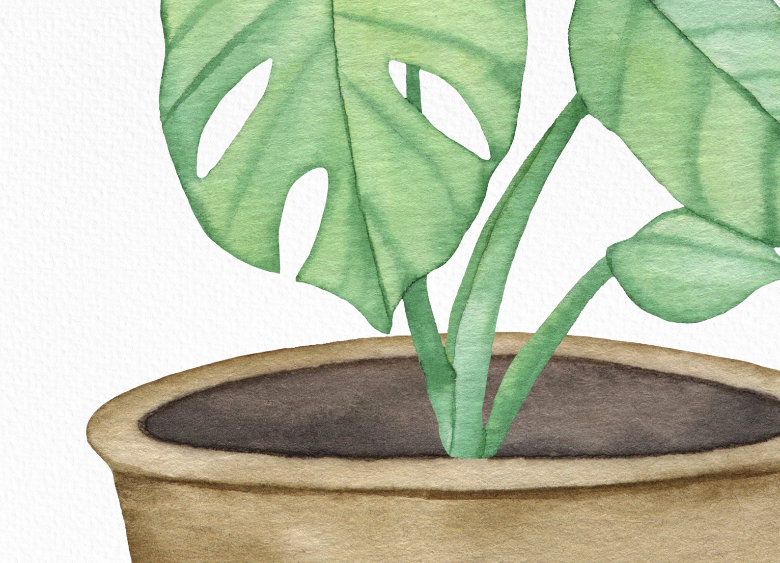 Boho House Plants Clipart, Watercolor Greenery, Indoor Potted Plants - Etsy