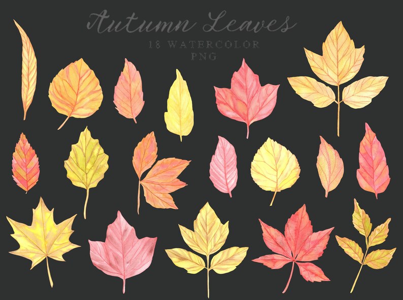 Watercolor Autumn Leaves Clipart, Fall Leaves PNG, Thanksgiving Clipart ...
