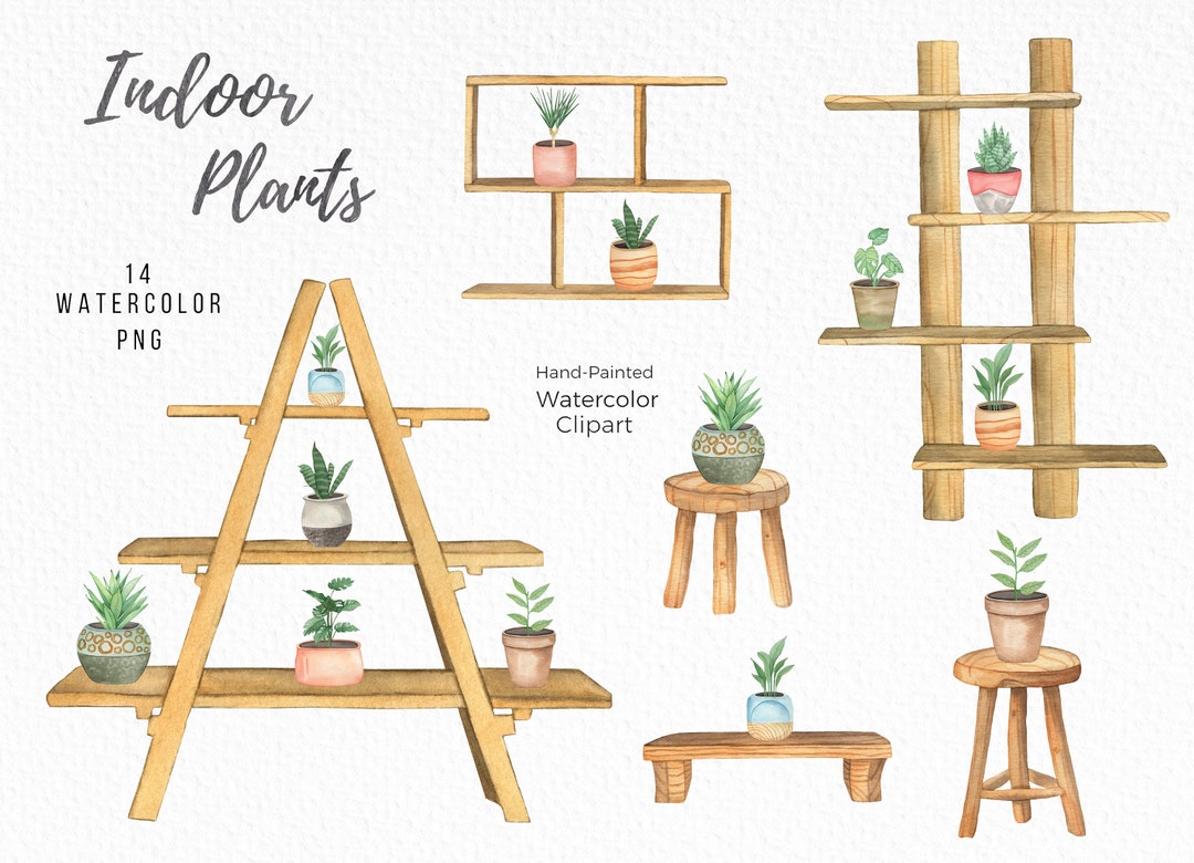 Watercolor Indoor Plants Clipart Boho House Potted Plants - Etsy