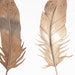 Watercolor Brown Feathers Clipart, Hand Painted Boho Feathers PNG - Etsy