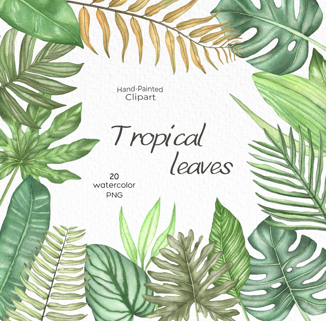 Watercolor Tropical Leaves Clipart, Monstera Leaves, Tropical Greenery ...