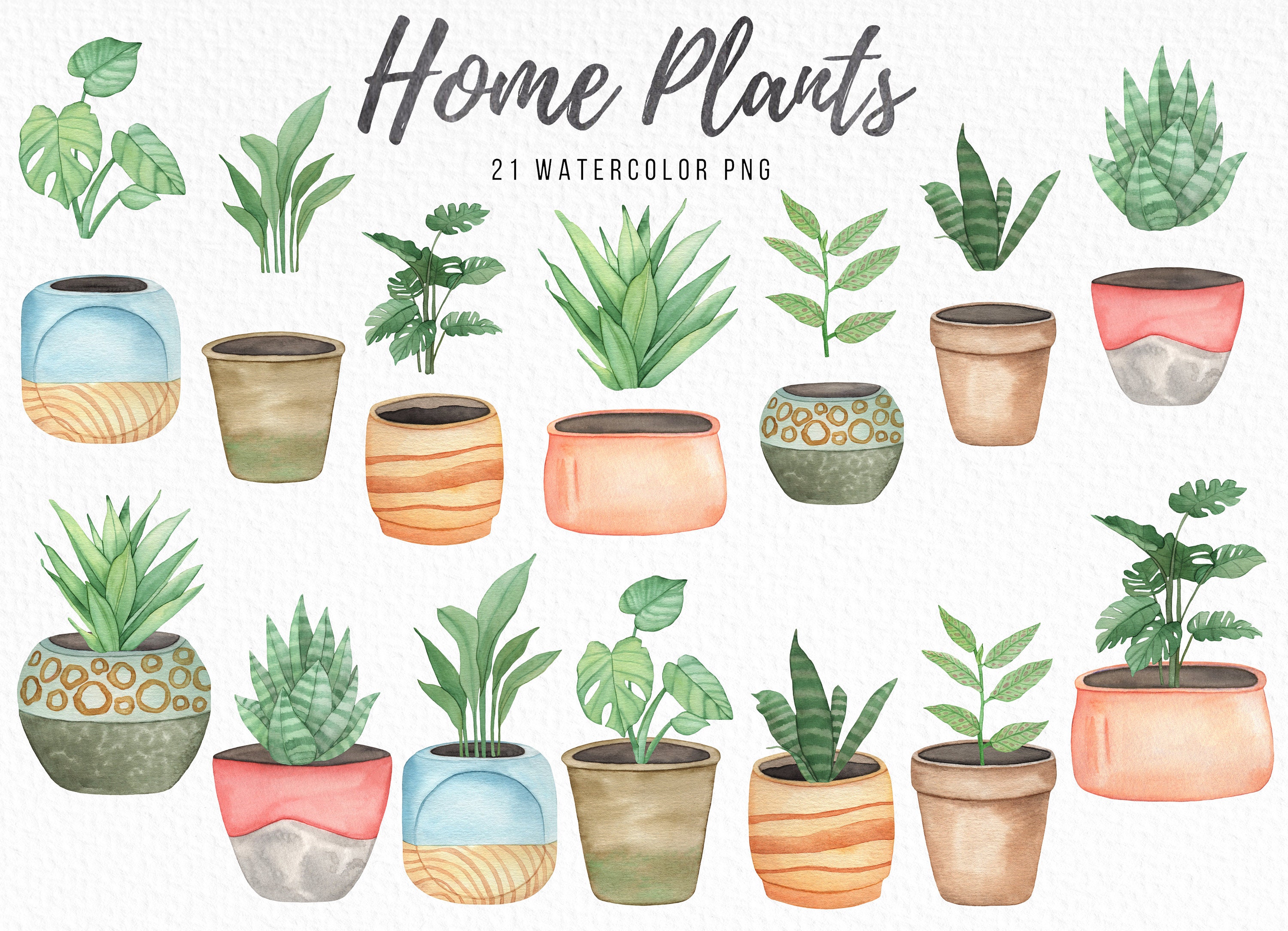 Boho House Plants Clipart, Watercolor Greenery, Indoor Potted Plants - Etsy