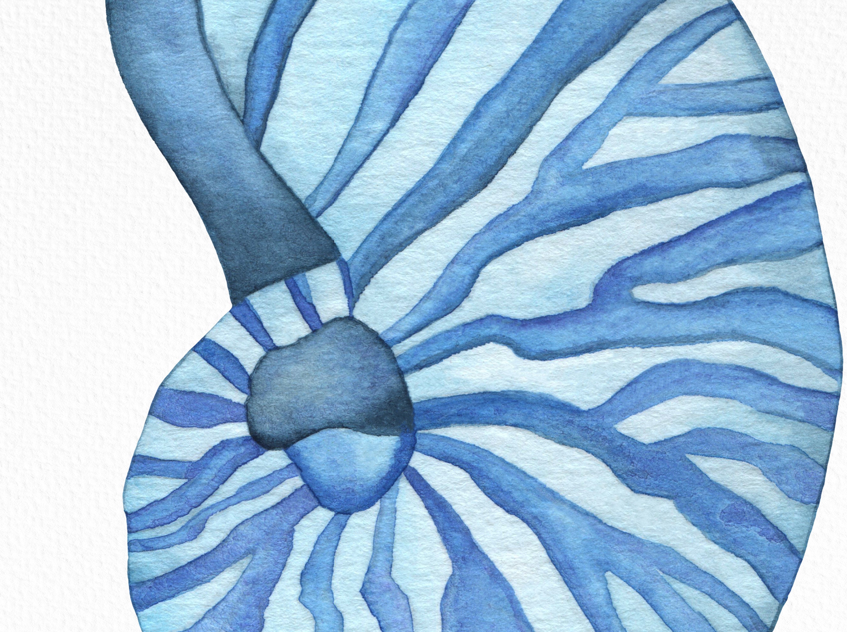 Watercolor Under the Sea Clipart, Sea Life, Fish, Coral Reef - Etsy