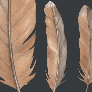 Watercolor Brown Feathers Clipart, Hand Painted Boho Feathers PNG - Etsy