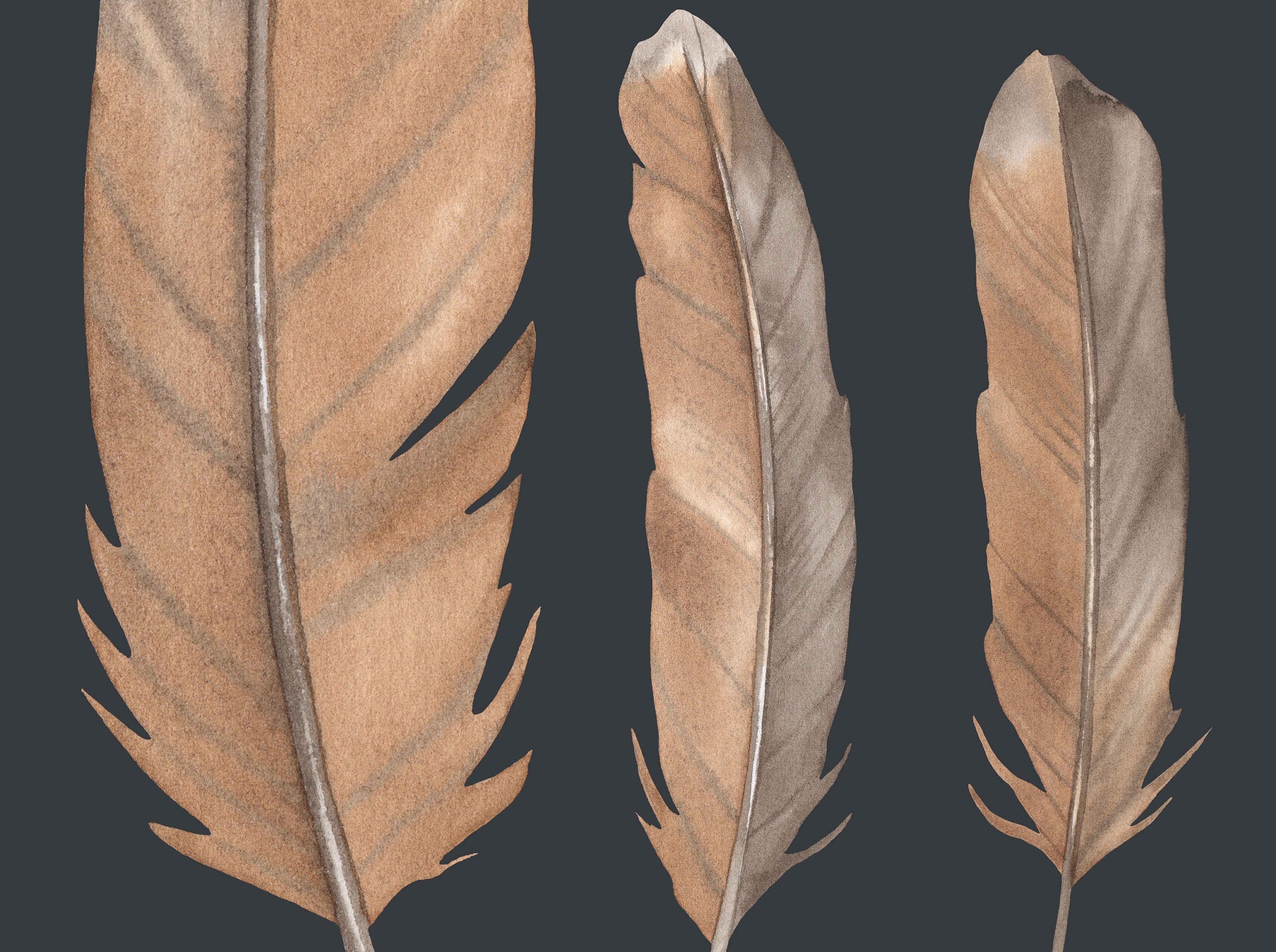 Watercolor Brown Feathers Clipart, Hand Painted Boho Feathers PNG - Etsy