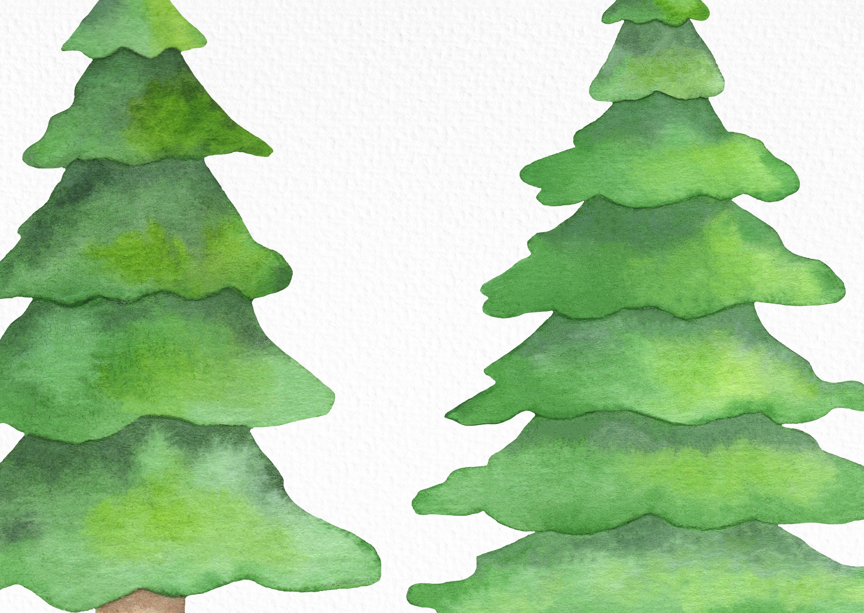 Watercolor Christmas Tree Clipart Forest Pine Tree - Etsy