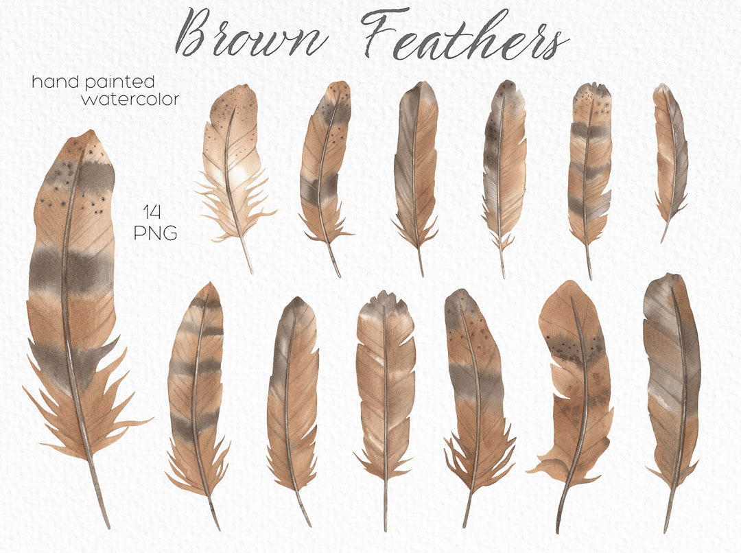 Watercolor Brown Feathers Clipart, Hand Painted Boho Feathers PNG - Etsy