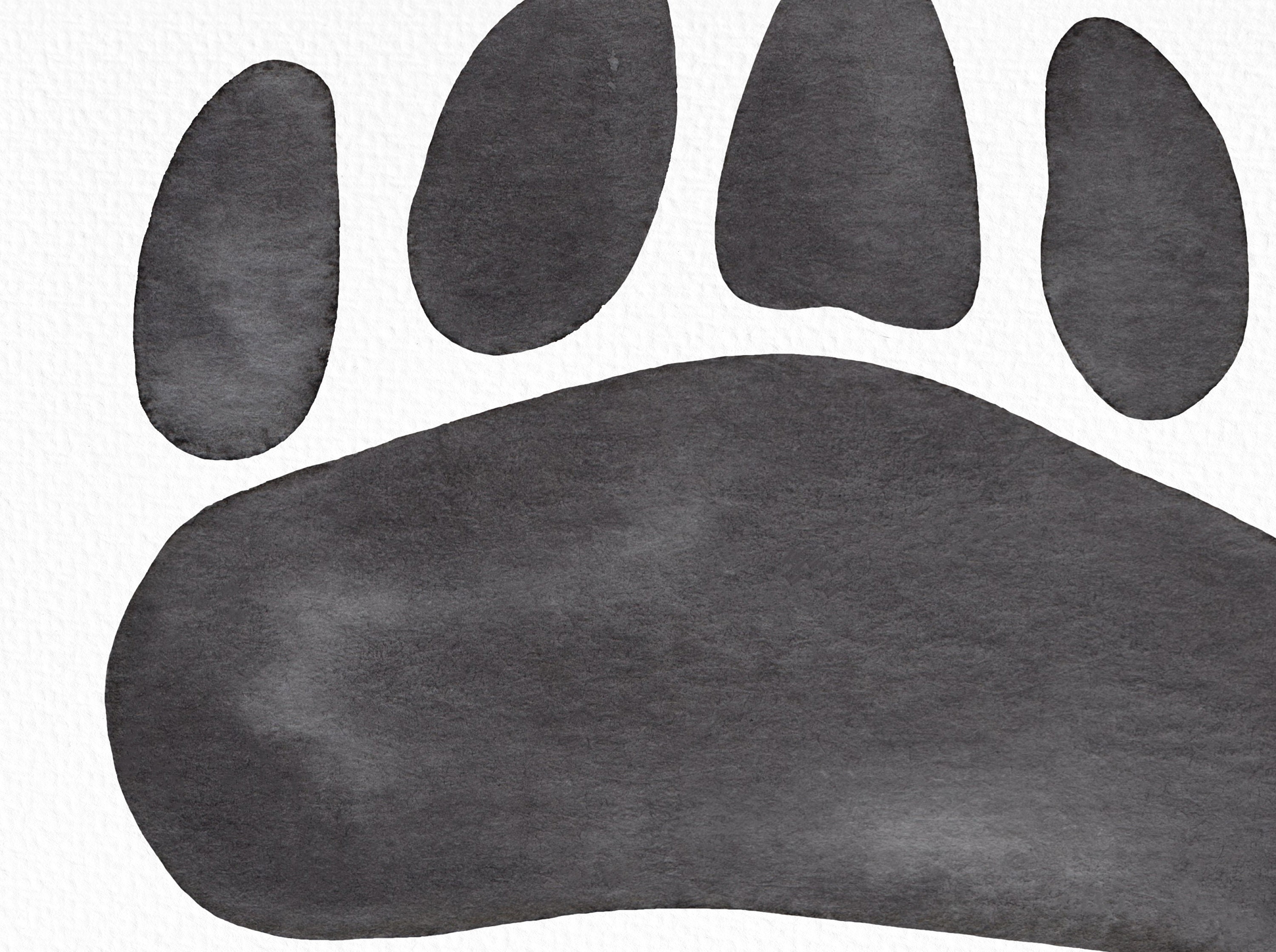 Watercolor Bear Paw Clipart, Black Bear Paw Print PNG - Etsy
