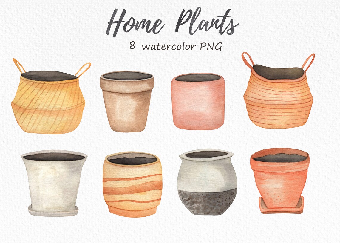 Boho House Plants Clipart Watercolor Greenery Indoor Potted - Etsy