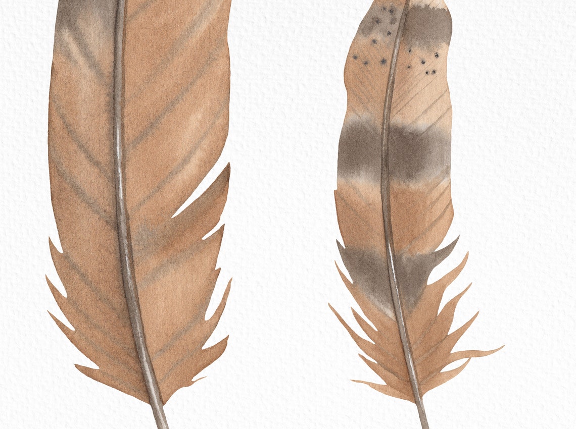 Watercolor Brown Feathers Clipart, Hand Painted Boho Feathers PNG - Etsy
