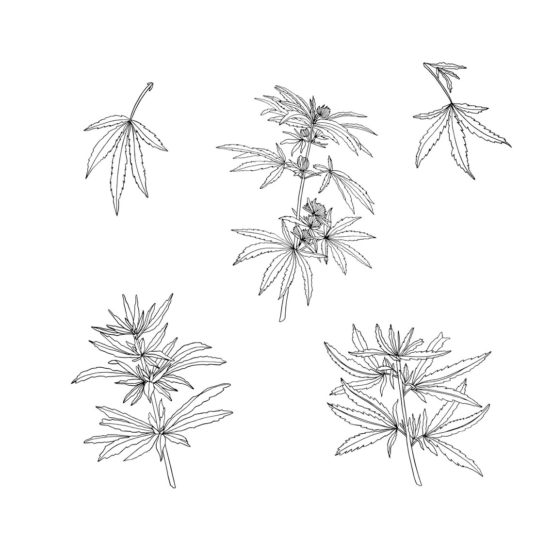 Cannabis Hemp Clip Art Set. Weed Printable Art. Digital - Etsy