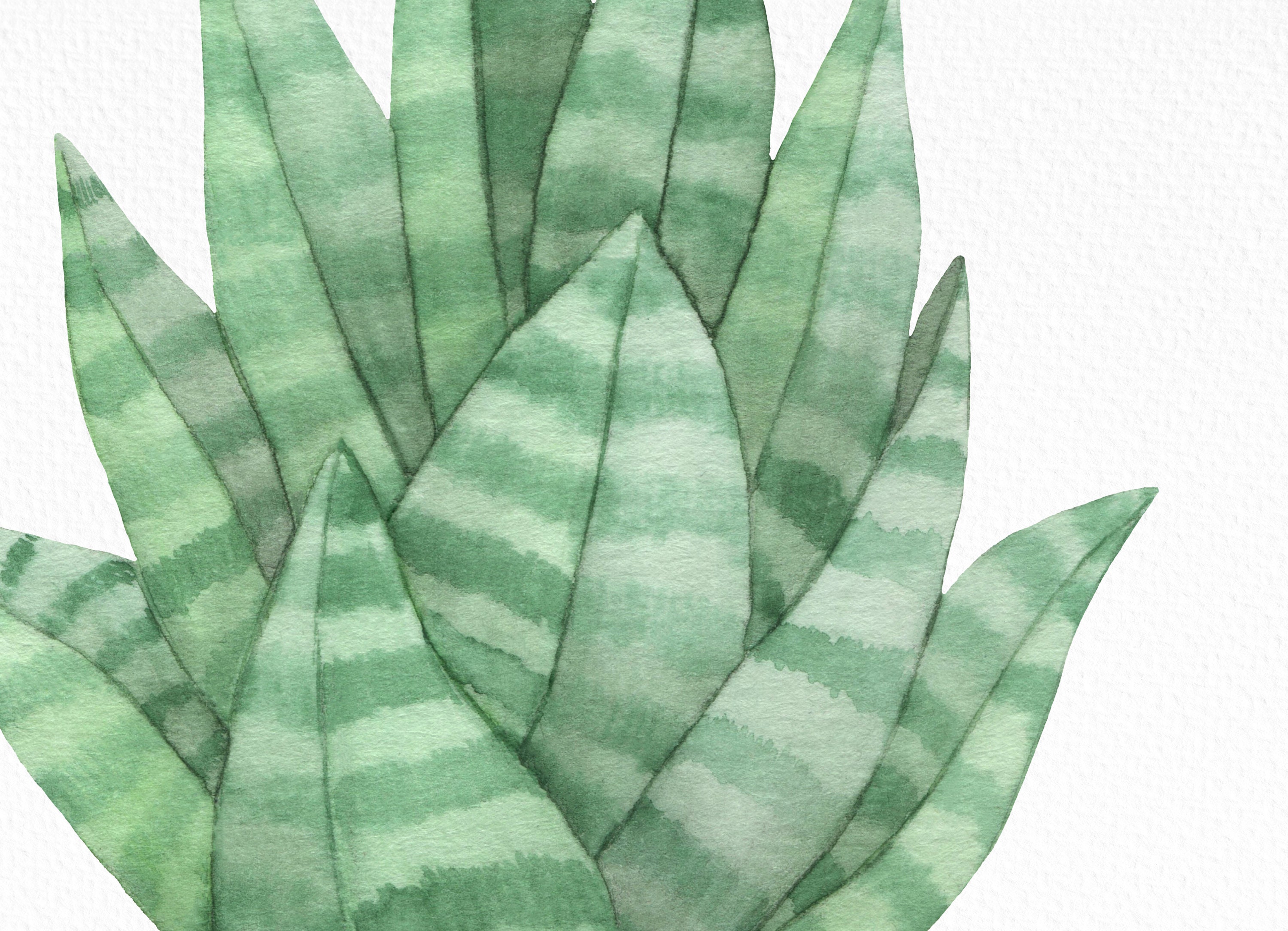 Boho House Plants Clipart, Watercolor Greenery, Indoor Potted Plants - Etsy