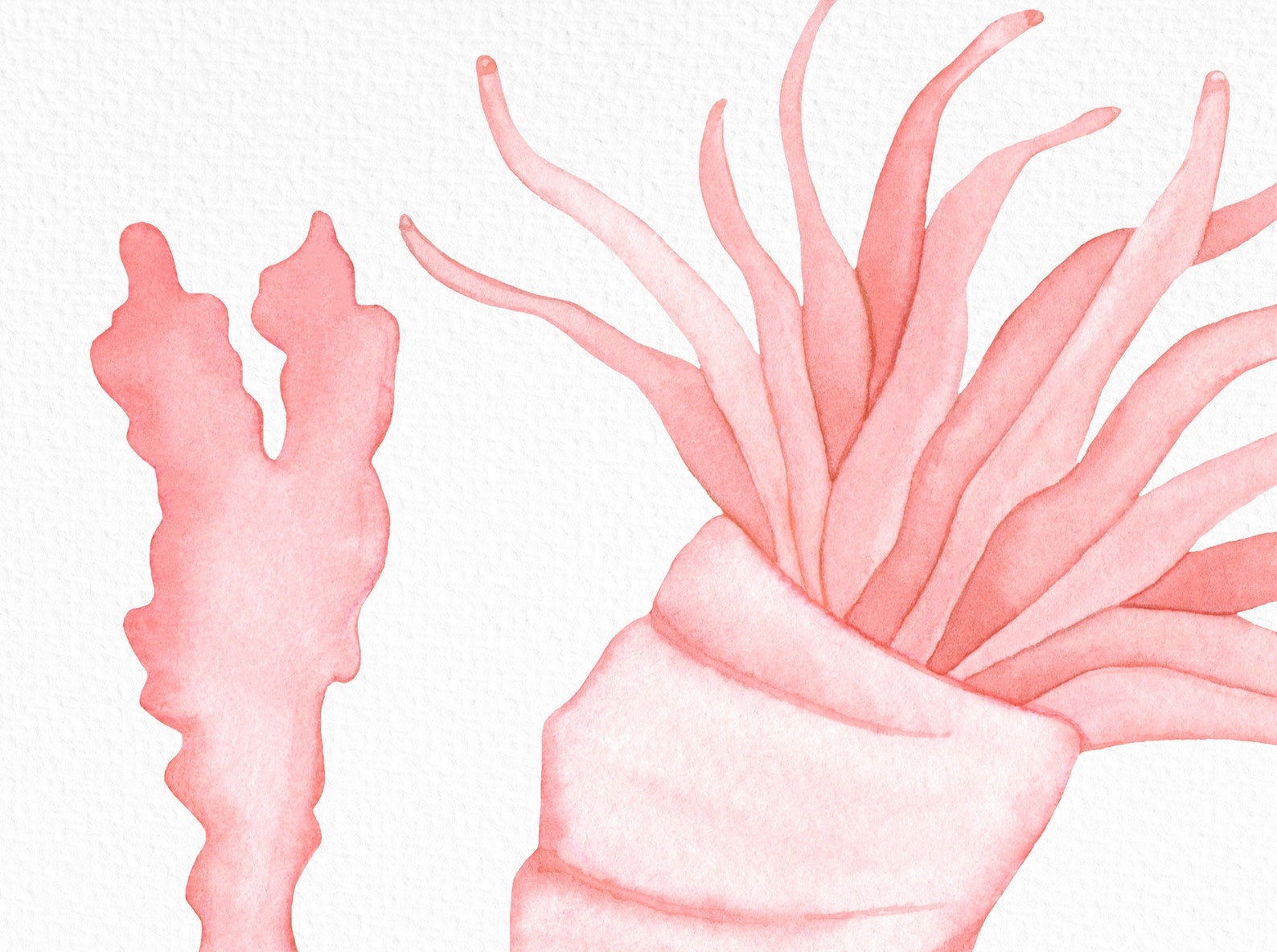 Watercolor Under the Sea Clipart, Sea Life, Fish, Coral Reef - Etsy