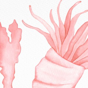 Watercolor Under the Sea Clipart, Sea Life, Fish, Coral Reef - Etsy