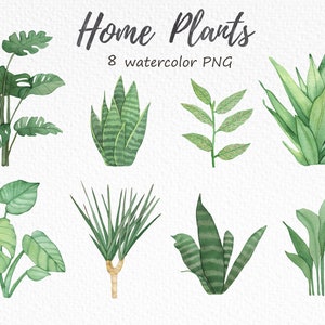 Boho House Plants Clipart, Watercolor Greenery, Indoor Potted Plants - Etsy
