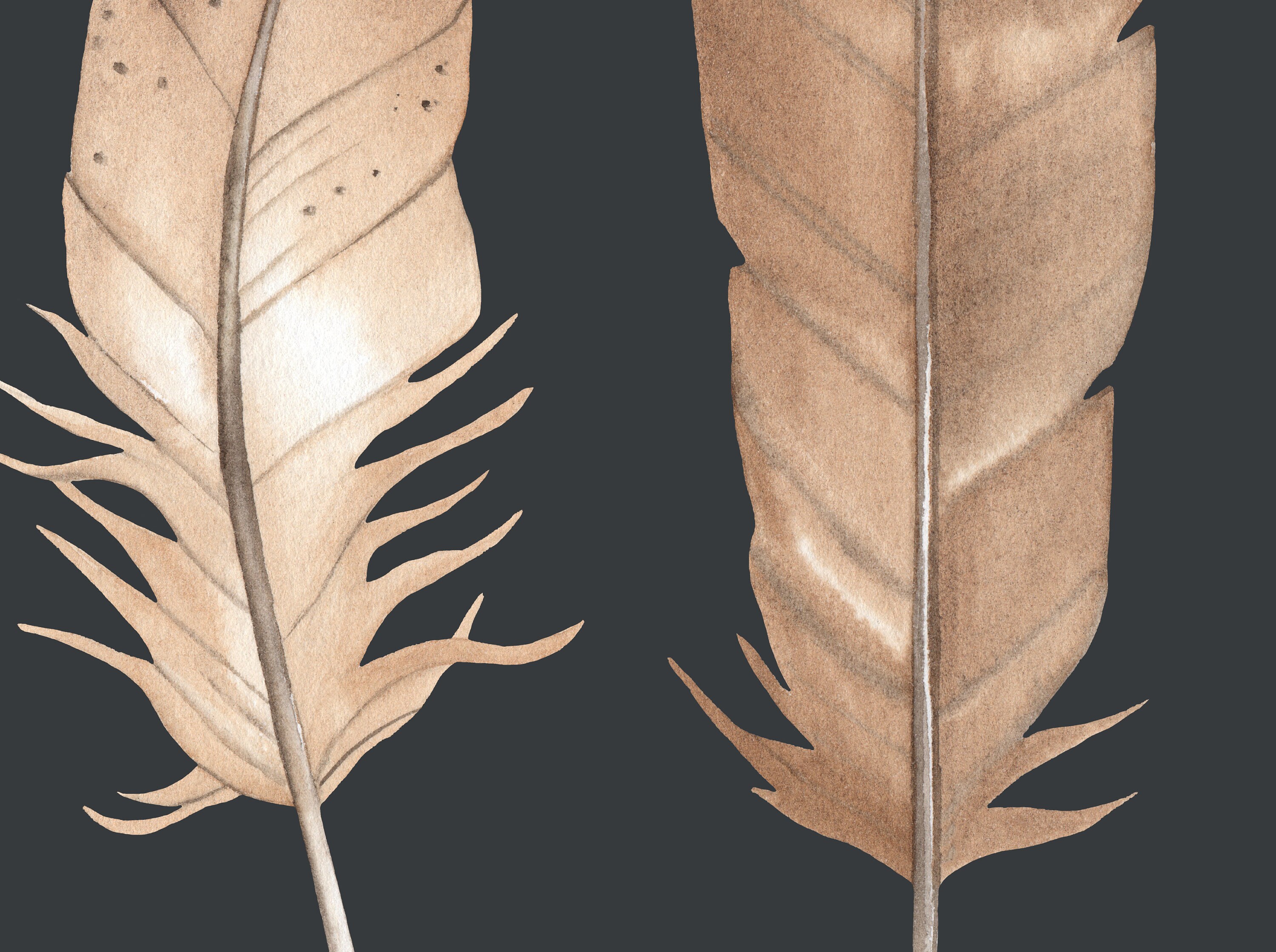 Watercolor Brown Feathers Clipart, Hand Painted Boho Feathers PNG - Etsy