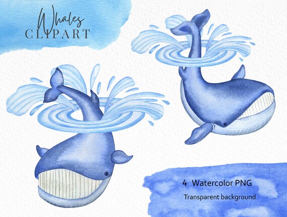 Watercolor Whales Clipart Blue Whales With Water Splash PNG - Etsy