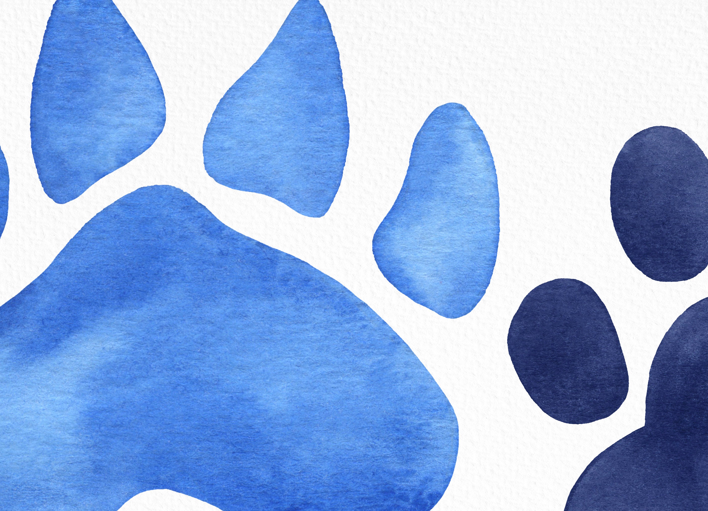 Watercolor Paw Prints Clipart, Dog Bear Paw Prints PNG - Etsy