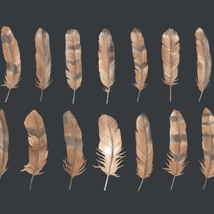 Watercolor Brown Feathers Clipart, Hand Painted Boho Feathers PNG - Etsy