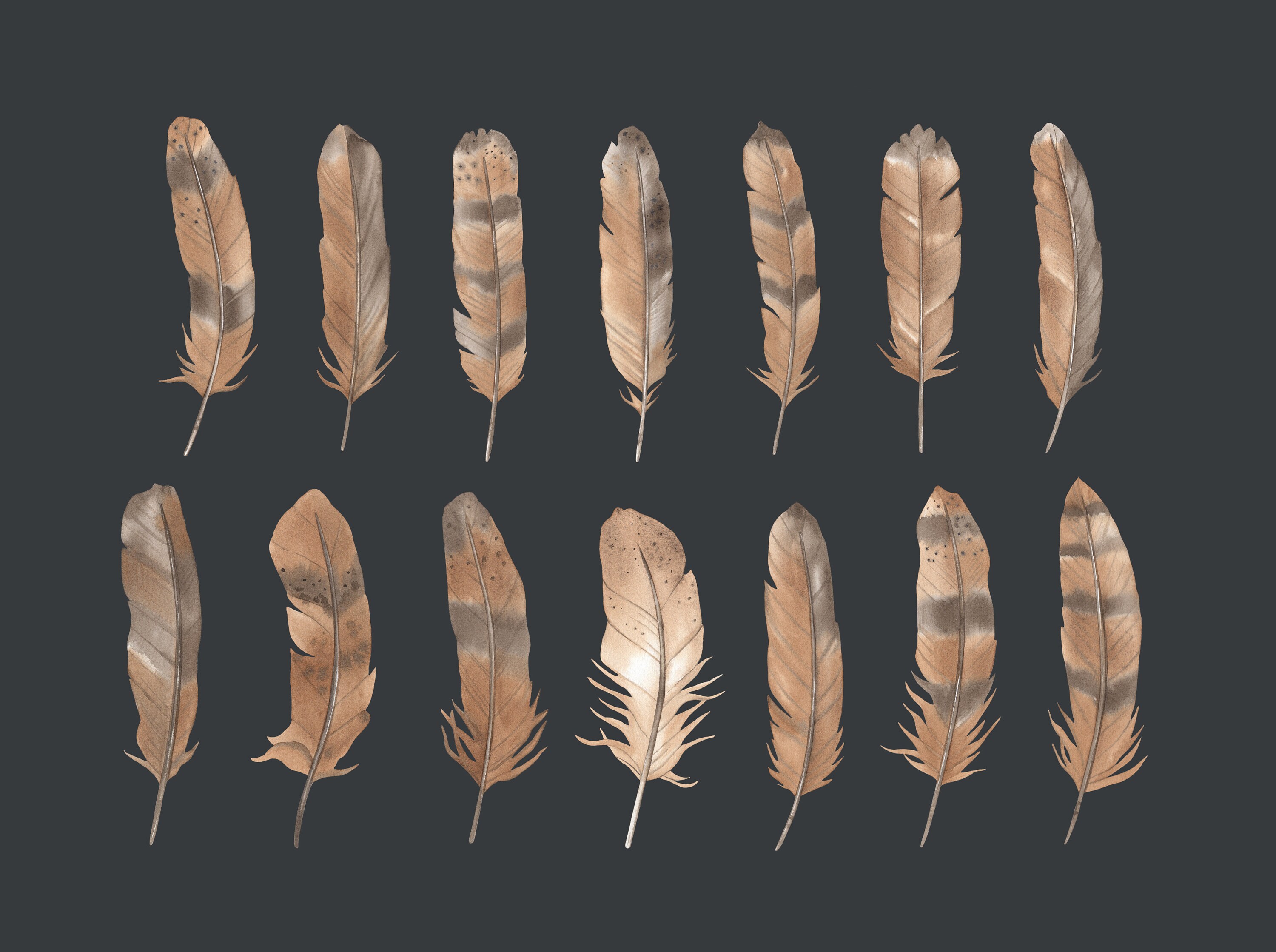 Watercolor Brown Feathers Clipart, Hand Painted Boho Feathers PNG - Etsy