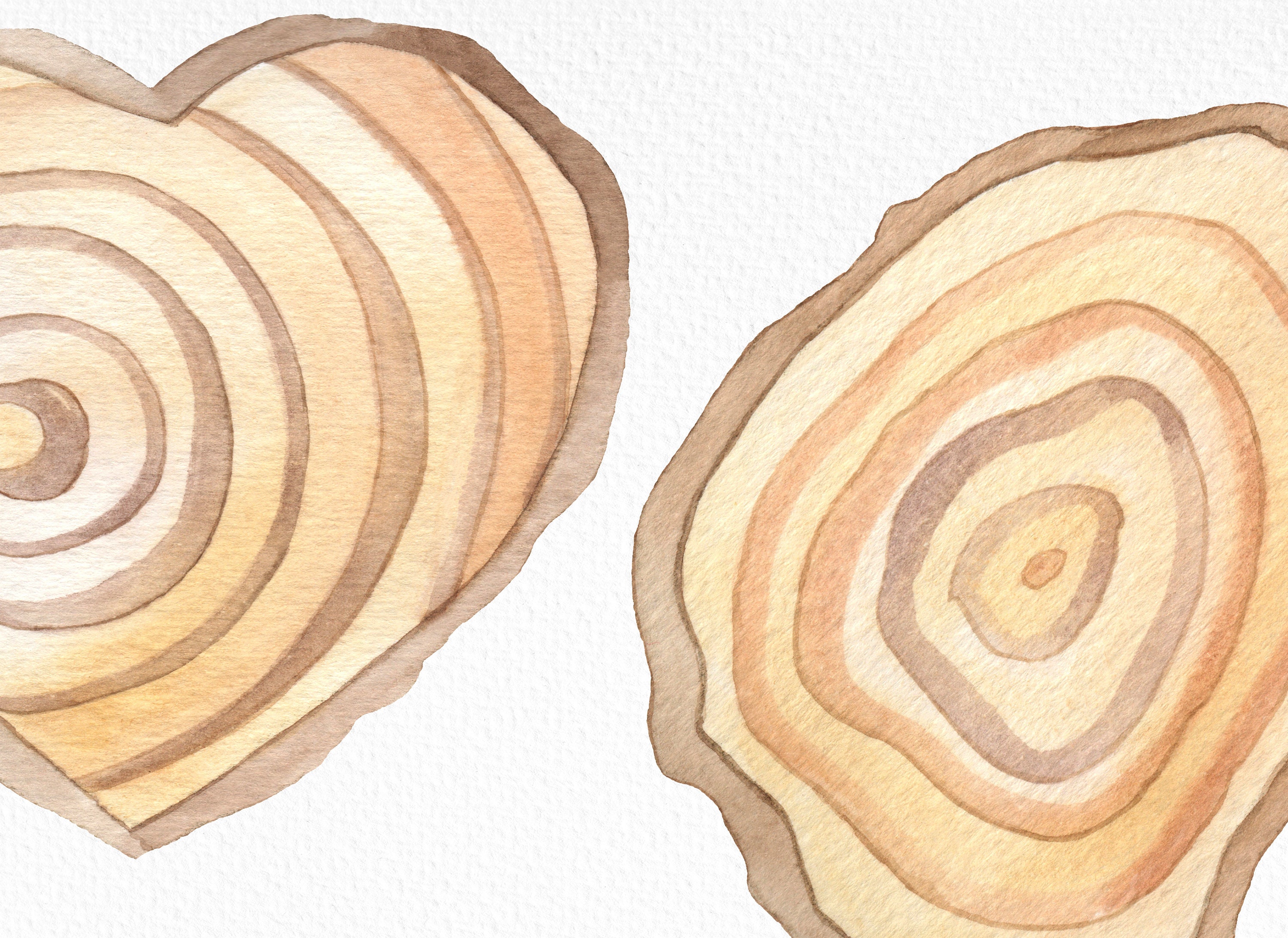 Watercolor Wood Slice Clipart, Rustic Sign Slices Clipart, Scrapbooking ...