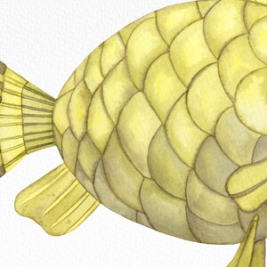 Watercolor Fish Clipart, Coral Reef Clipart, Watercolor Corals, Cute ...