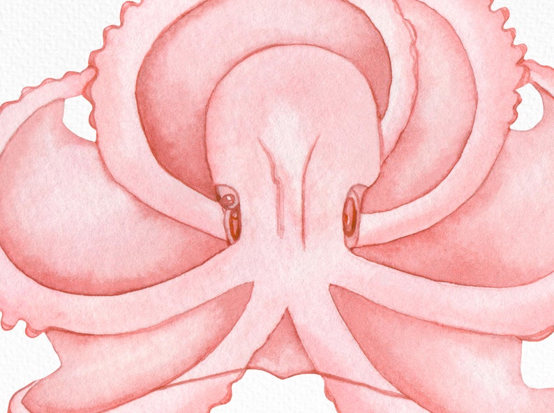 Watercolor Under the Sea Clipart Sea Life Fish Coral Reef - Etsy