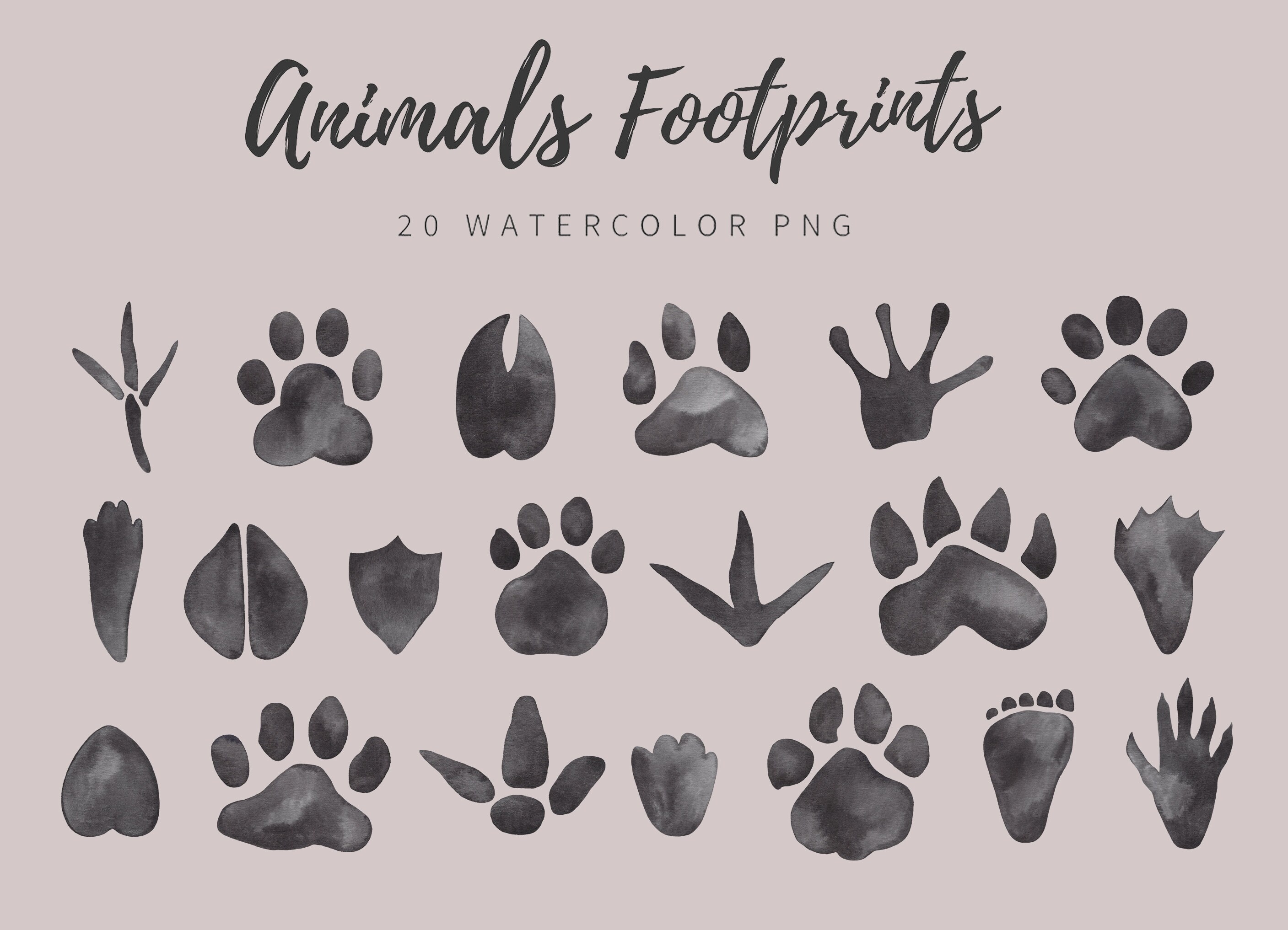 Animal Tracks Clipart